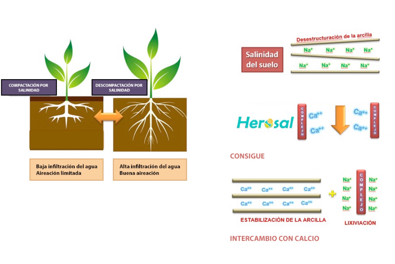 Salinidad: Conceptos y soluciones - Herogra | Herogra